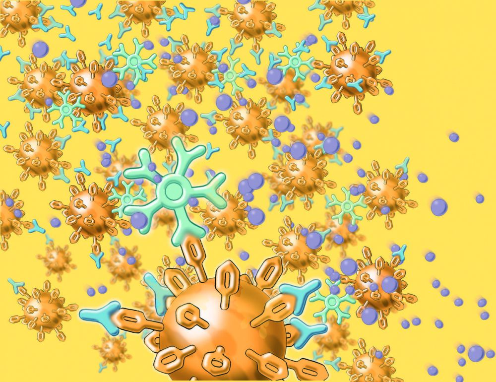 Immunadsorption - AFI